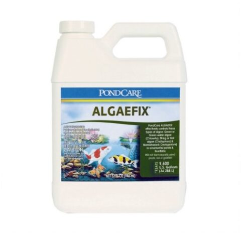 Algae Control AlgaeFIX Algaeside | Koi Gardens, Inc.